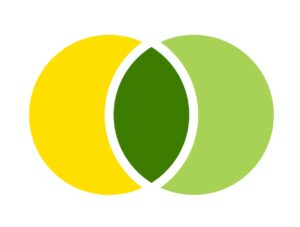 Venn Diagram Components | The Crucial Elements of Venn Diagrams ...