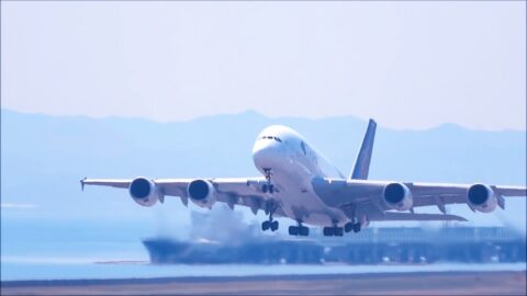 How to Start an Airline Company | 6 Steps to Create Airlines from ...