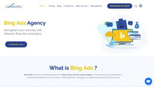11 Best Bing Ads Agencies for 2026 | Growth Hackers